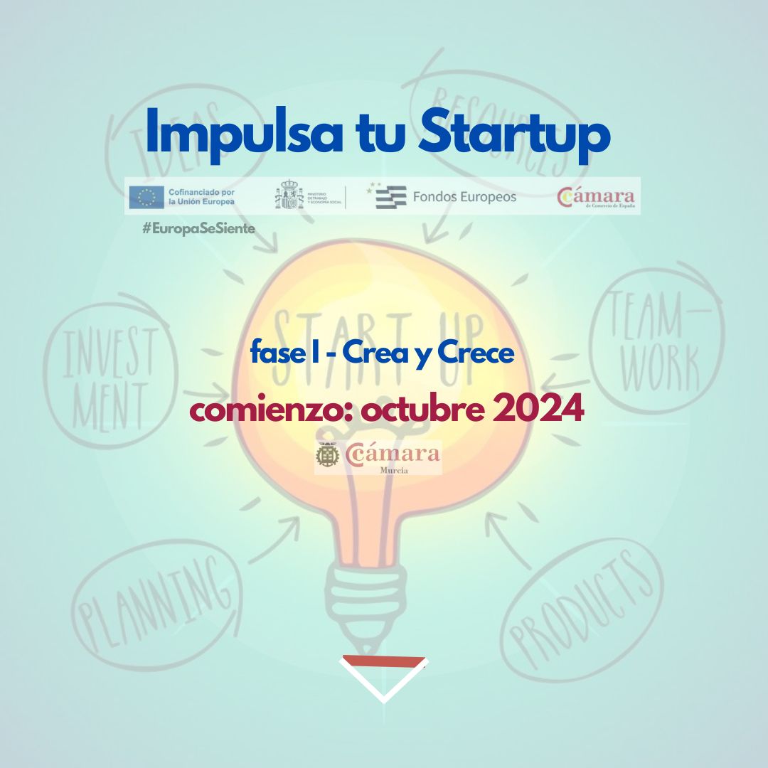 Programa Impulsa Startup | Cámara de Comercio Murcia