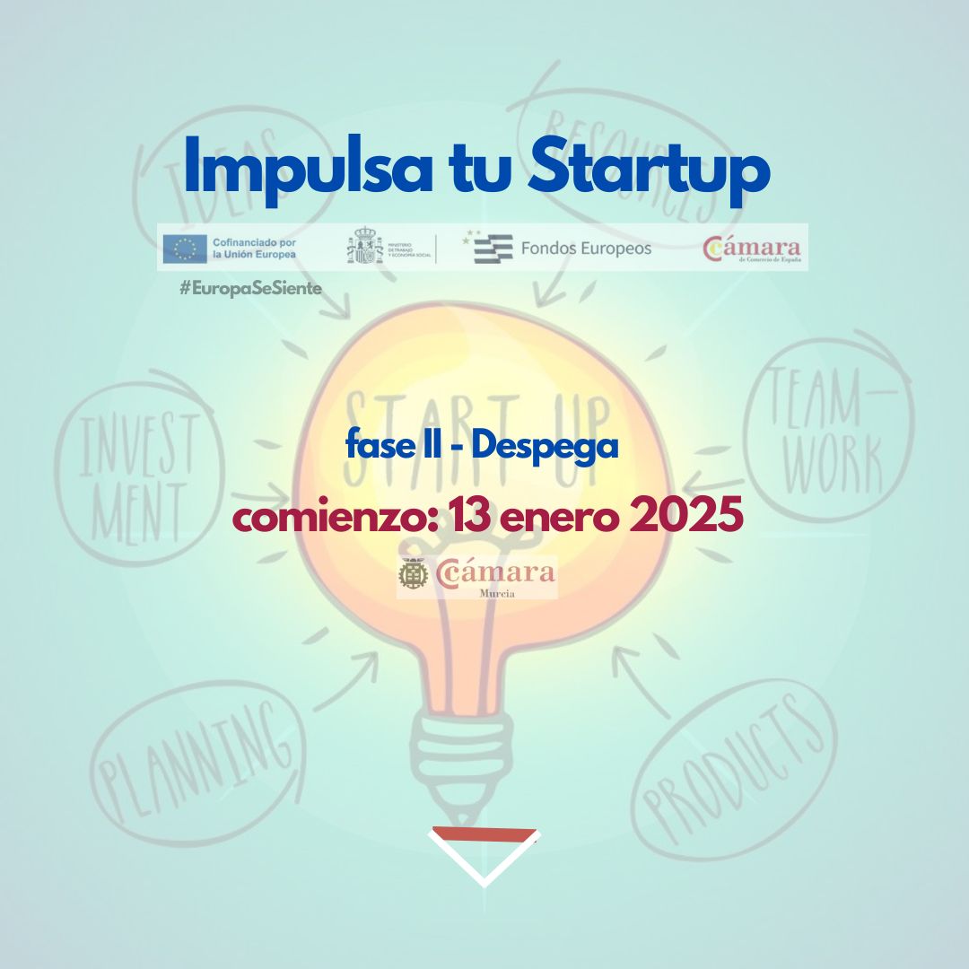 Programa Impulsa Startup | Cámara de Comercio Murcia