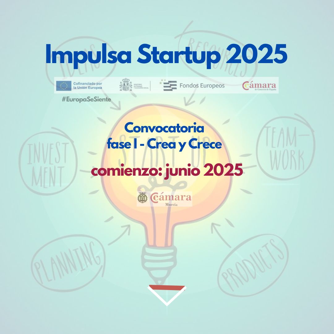 Programa Impulsa Startup | Cámara de Comercio Murcia
